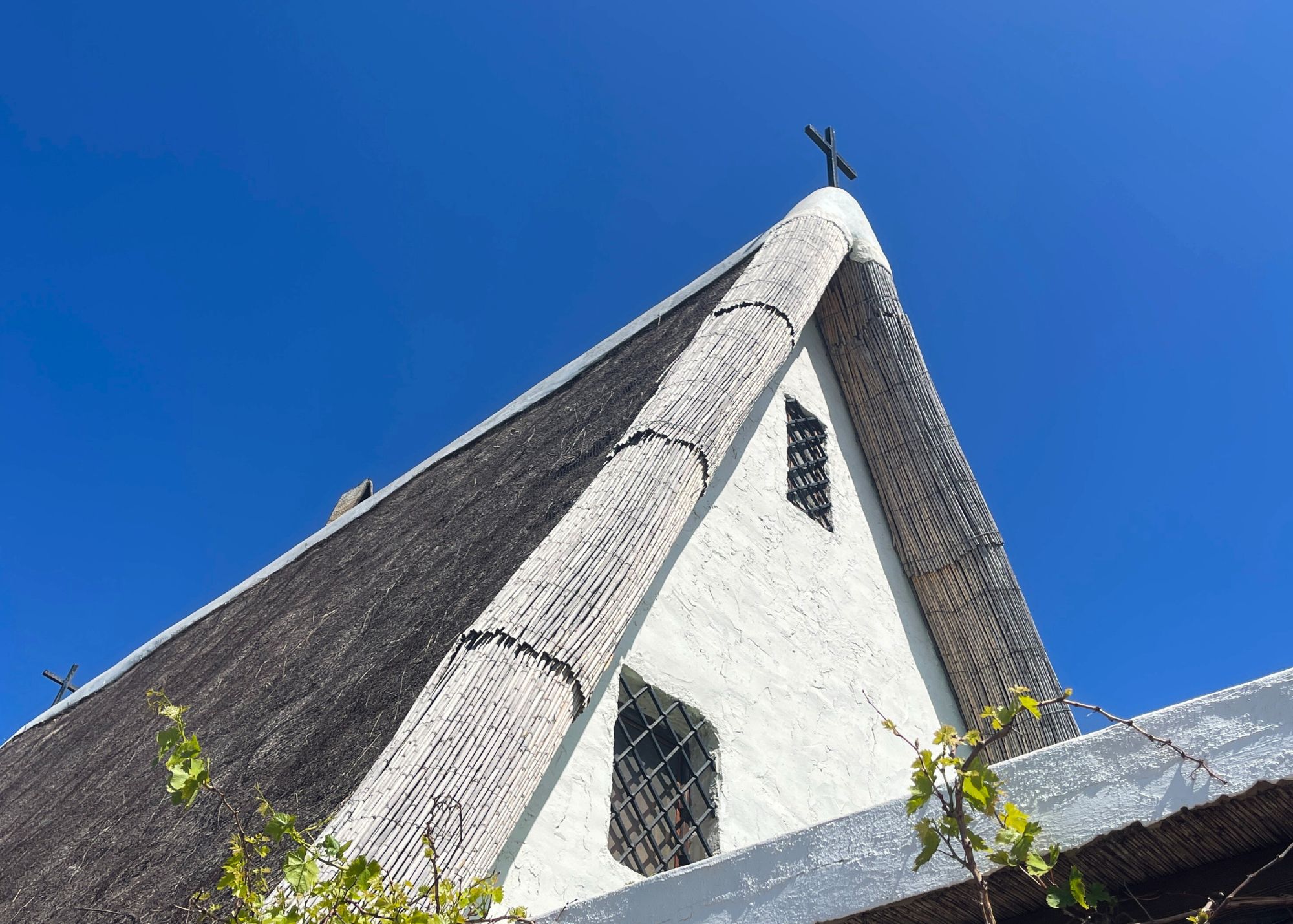 El Poblet. Cocinamos Valencia en La Albufera. | Valencia Culinary Festival